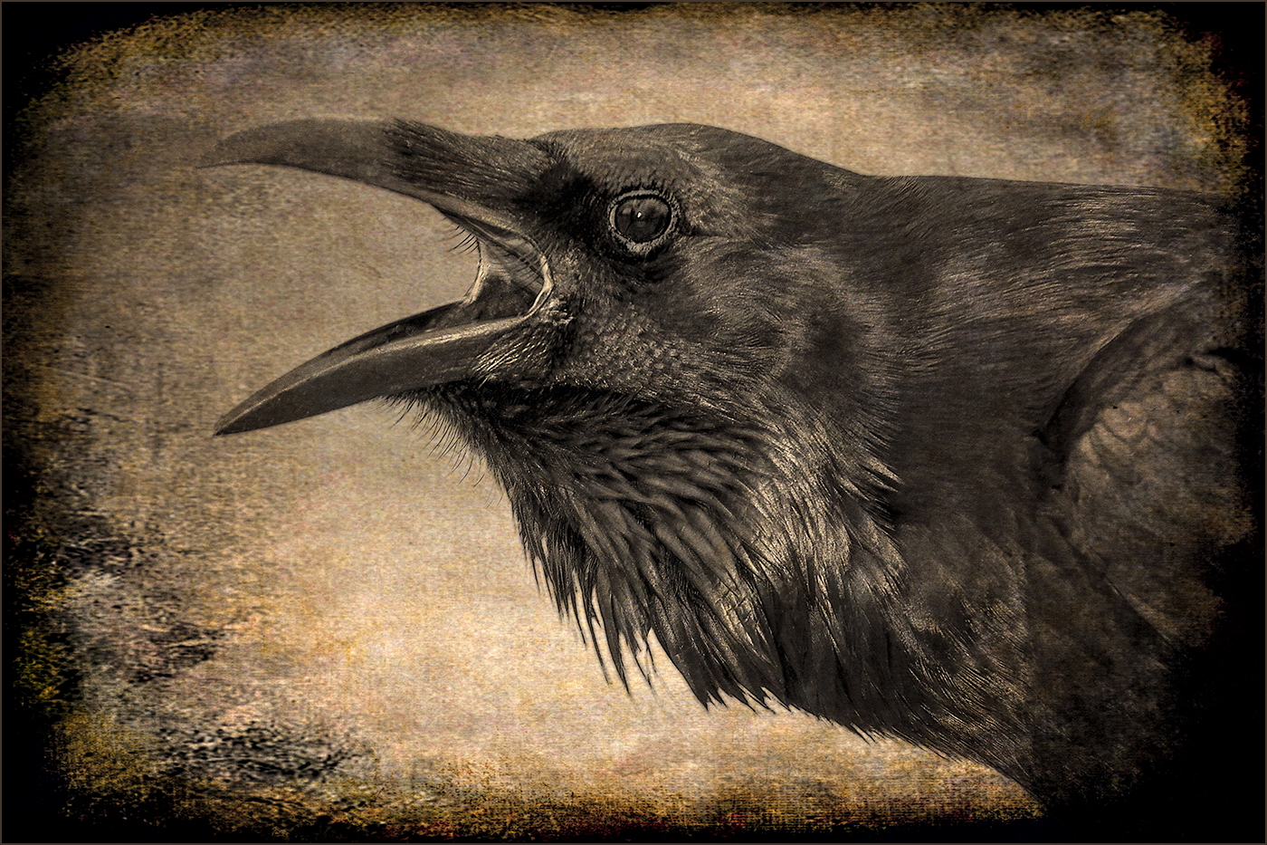 The 39th Yaquina Art Association Photographers Annual Show « News ...