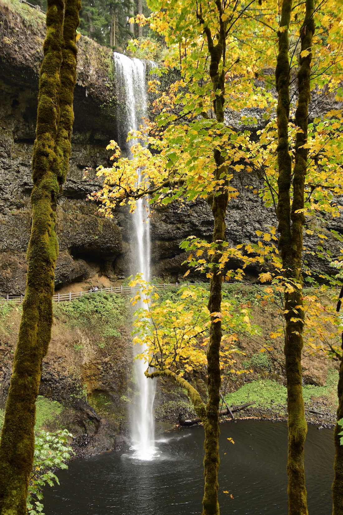 The 39th Yaquina Art Association Photographers Annual Show « News ...