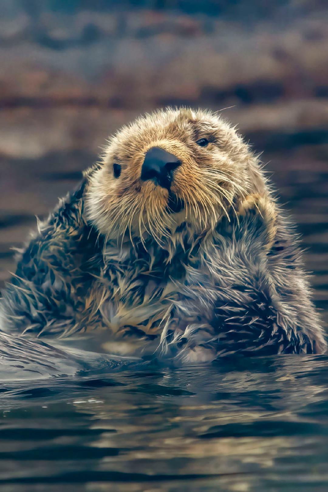 Yaquina Art Gallery Spotlight features Michael Carr, nature photography ...